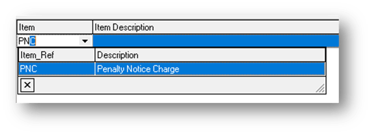 How to Raise a Sundry Invoice